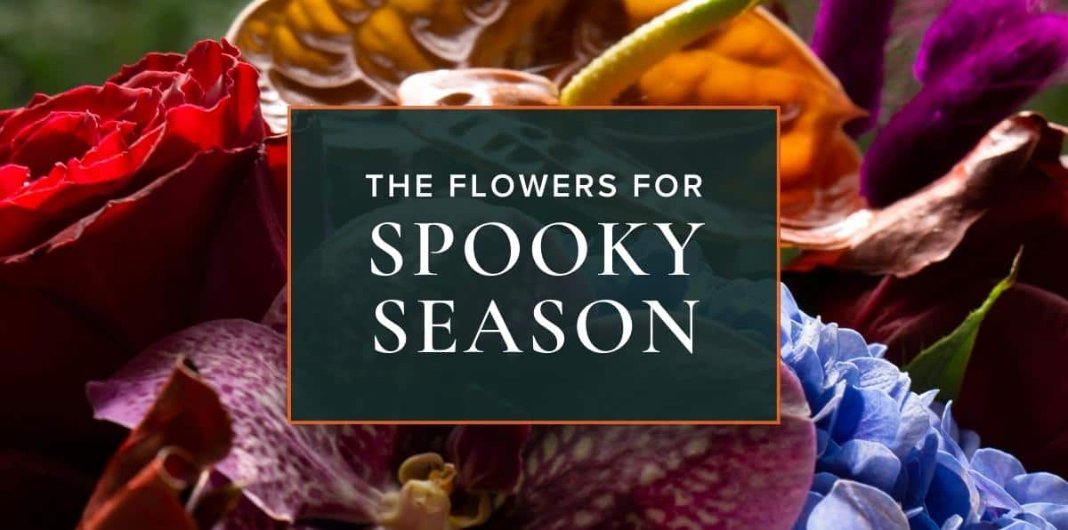 Spooky Stems for Haunting Halloween Bouquets - Durocher Florist